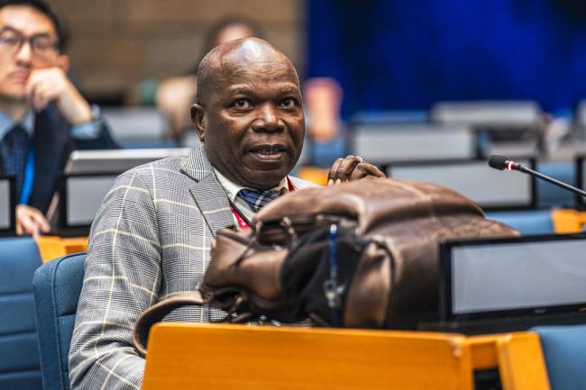Leslie Smith_MOP37_05Nov_photo.jpg | IISD Earth Negotiations Bulletin