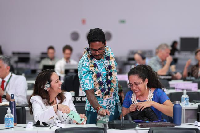 Plenary 2 - UNFCCC COP 30 - 12Nov 2025 - Photo | IISD Earth ...