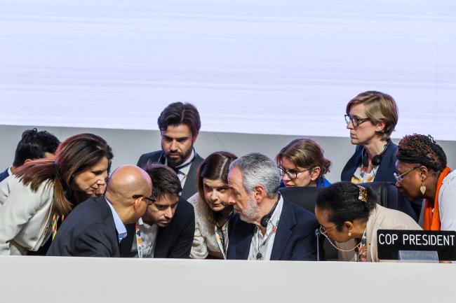 UN Climate Change Conference - Belém, November 2025 | IISD Earth ...