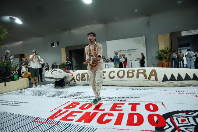Climate actions 2 - UNFCCC COP 30 - 13Nov 2025 - Photo | IISD Earth ...