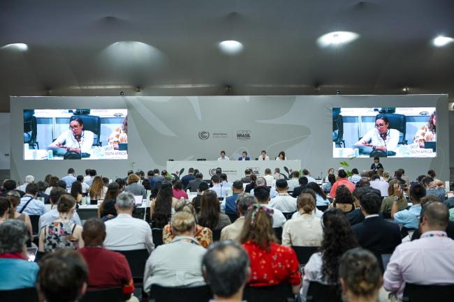 View of the room during the COP 30 Presidency consultations - UNFCCC ...