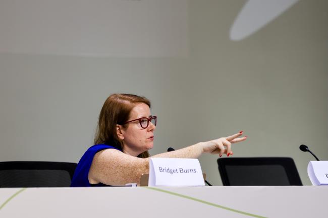 Bridget Burns, Women's Environment and Development Organization ...