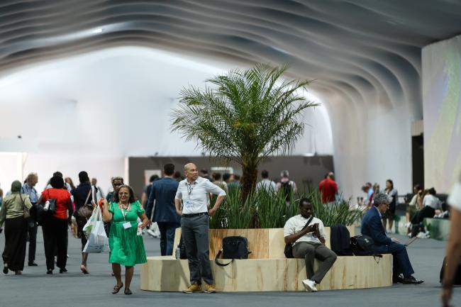 Around the Venue 3 - UNFCCC COP 30 - 11Nov 2025 - Photo | IISD Earth ...