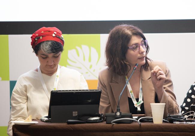 1 CSO -UNCCD-CRIC23-2Dec2025 | IISD Earth Negotiations Bulletin