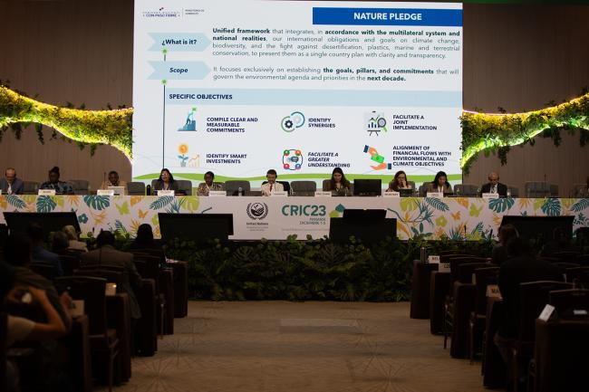 Morning Panel -UNCCD-CRIC23-4Dec2025 | IISD Earth Negotiations Bulletin
