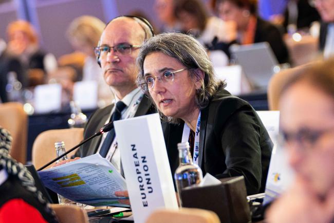 Paula Alexandra Duarte Gaspar, EU - BARC_COP24_2dec2025-photo | IISD ...