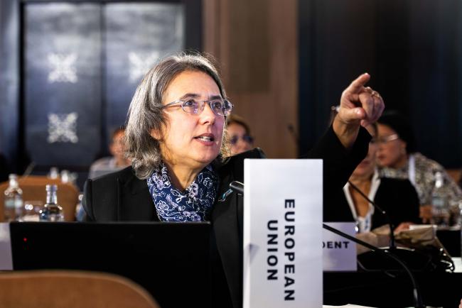 Paula Alexandra Duarte Gaspar, EU - BARC_COP24_5dec2025-photo | IISD ...
