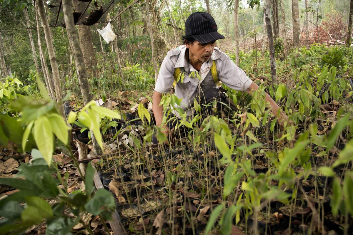 The Land Gap Report | IISD Earth Negotiations Bulletin