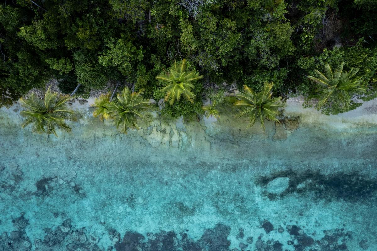 The Fourth International Conference on Small Island Developing States ...