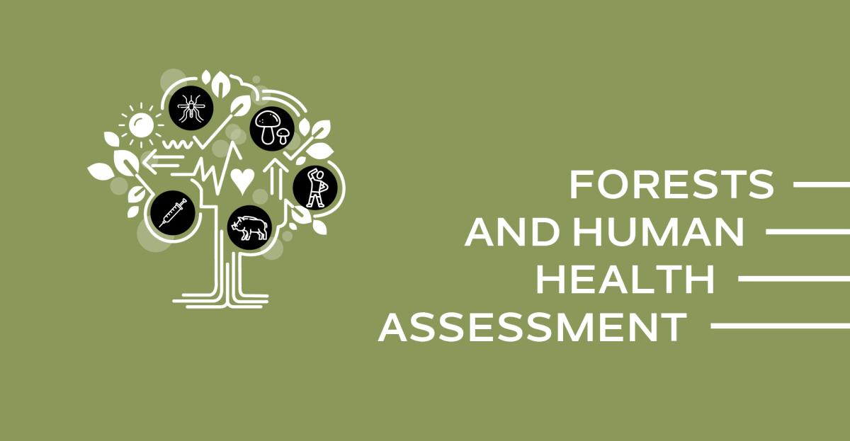 IUFRO Global Forest Expert Panel on Forests and Human Health - Launch ...