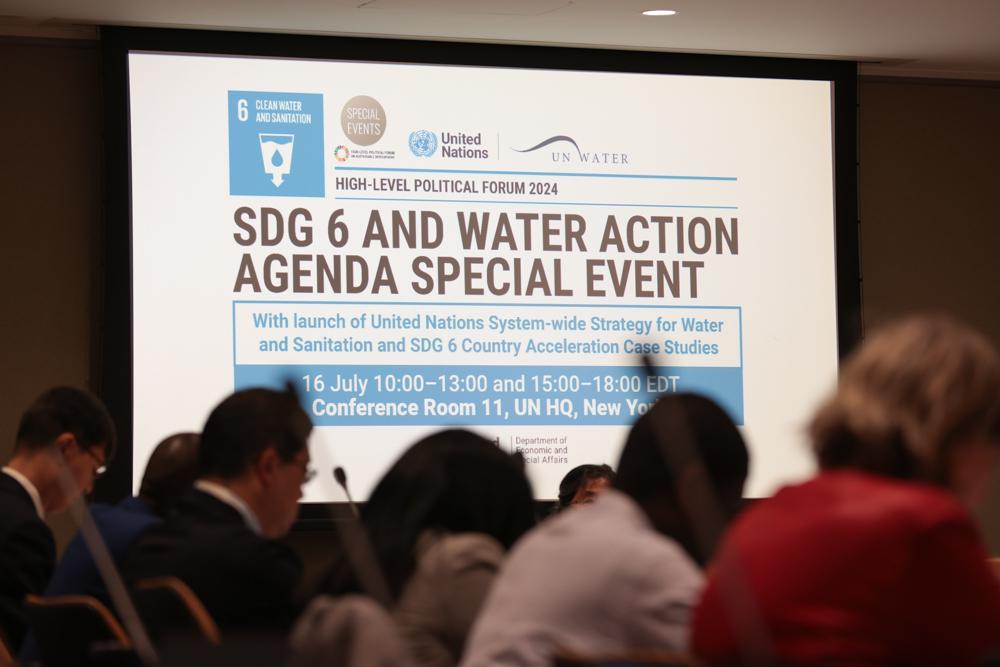 SDG 6 and Water Action Agenda Special Event | IISD Earth Negotiations ...