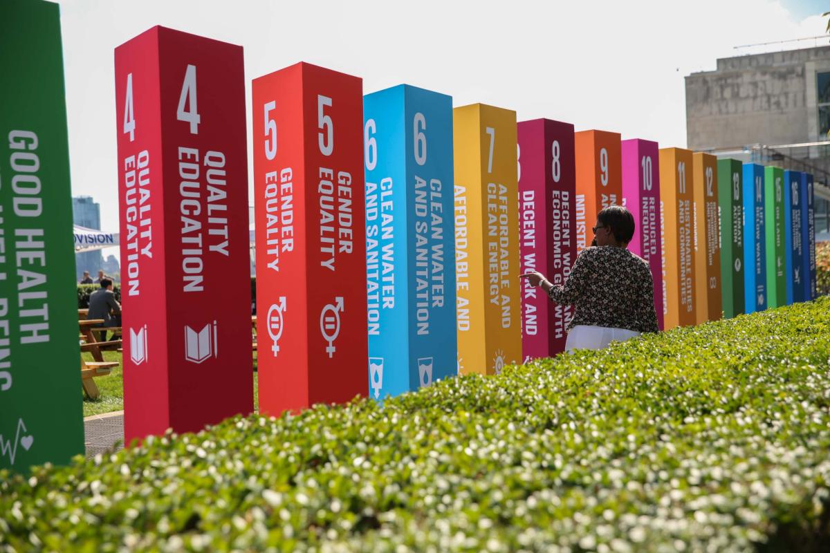SDG Moment 2025 | IISD Earth Negotiations Bulletin