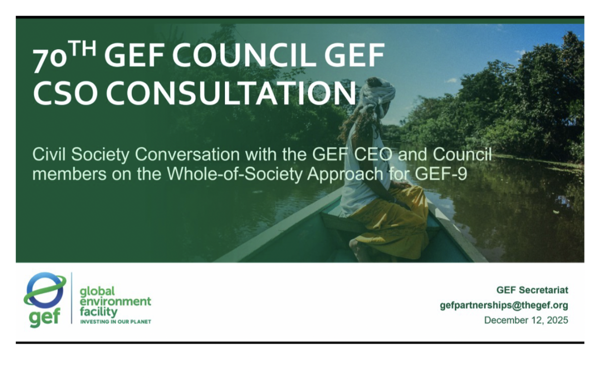 GEF Consultation with CSOs | IISD Earth Negotiations Bulletin